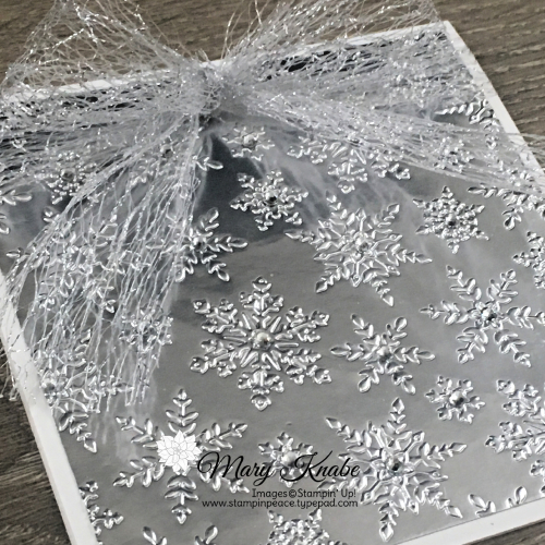 Winter Snow Embossing Folder