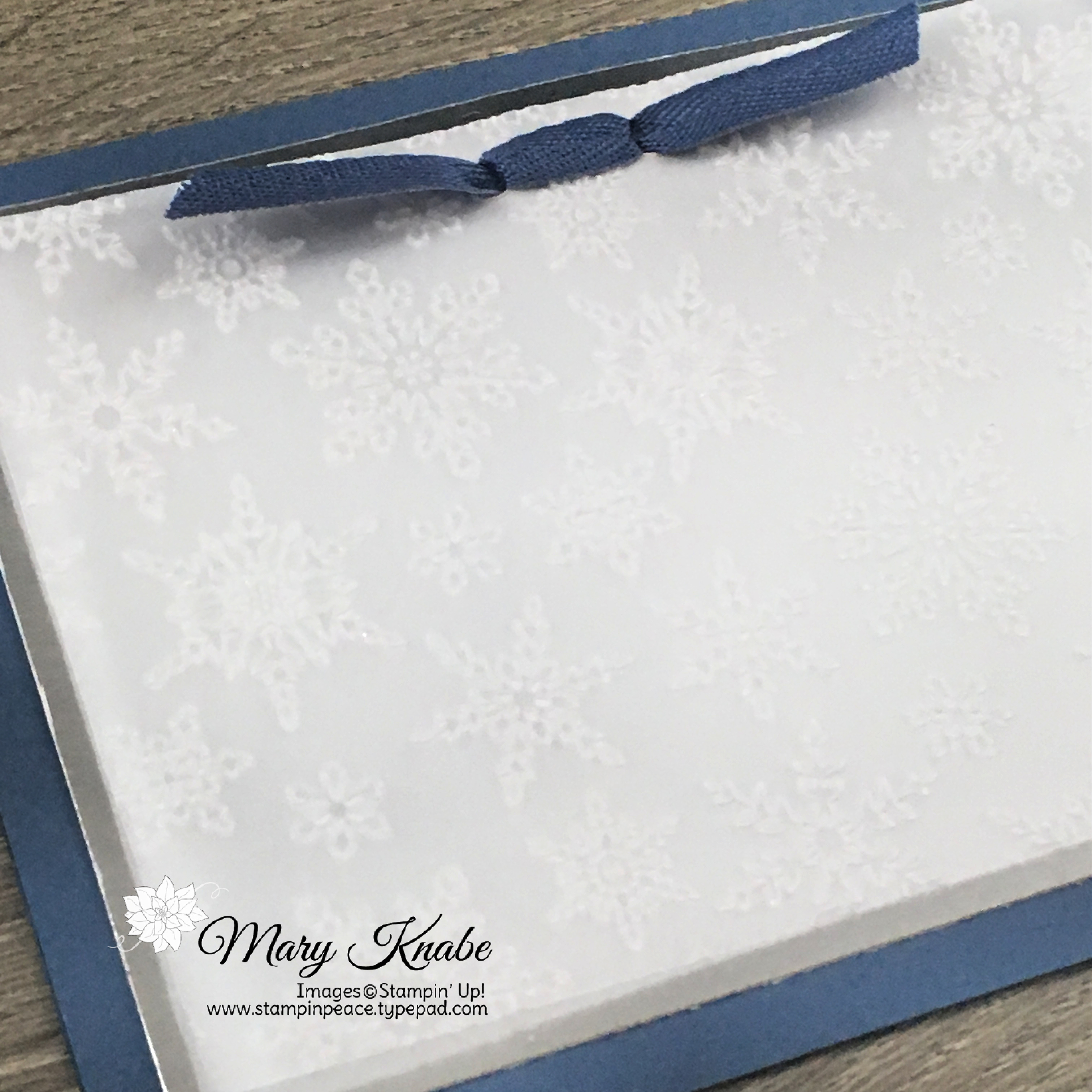 Winter Snow Embossing Folder