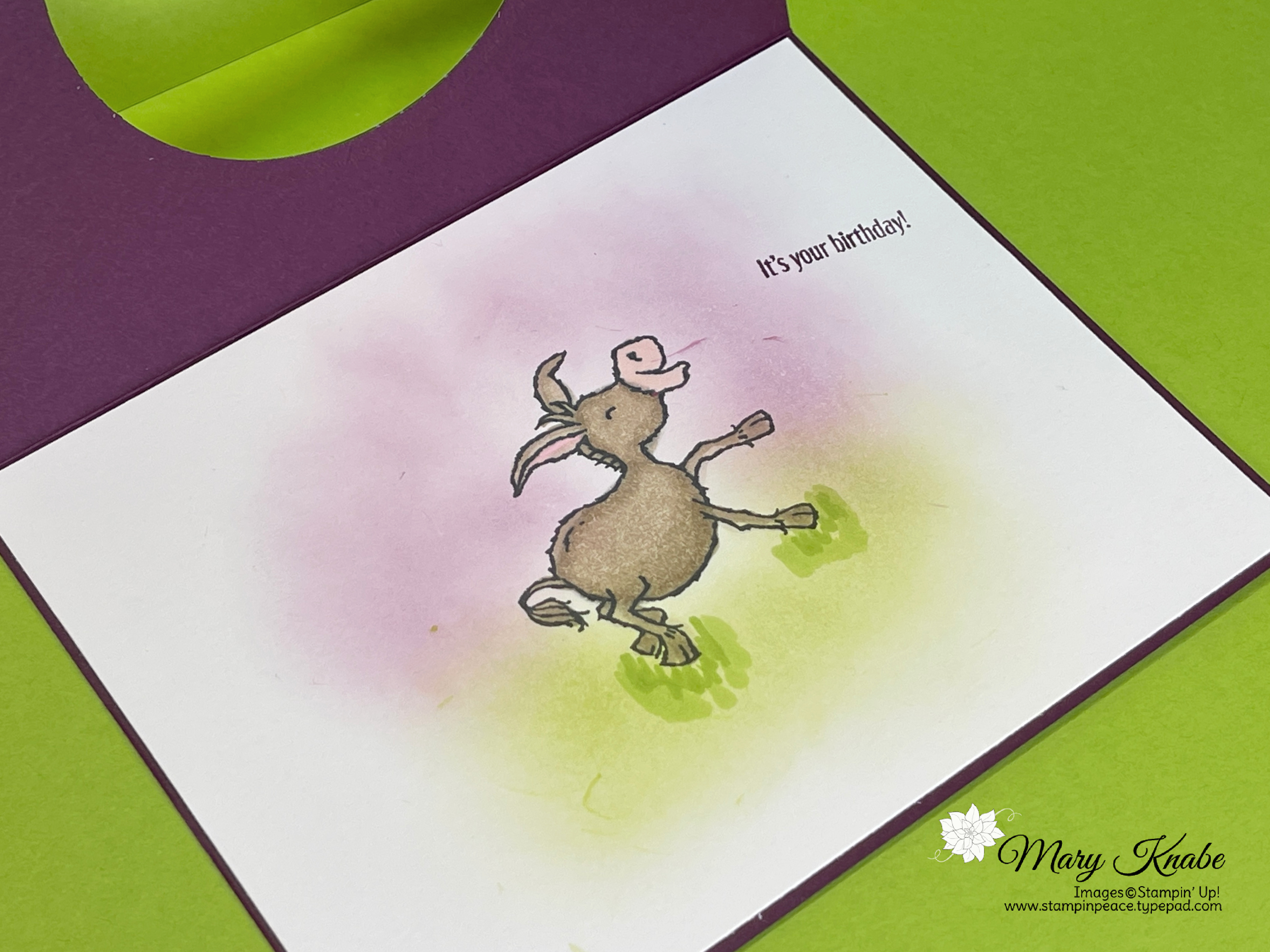 Darling Donkeys for Darling Cards