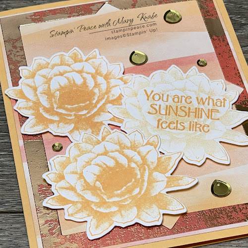 Delicate Desert Cards