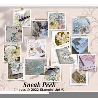 Abigail Rose - Create With Us International Tutorial Bundle | Stampin ...