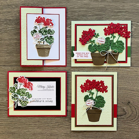 Daffodils, Tulips, Geraniums